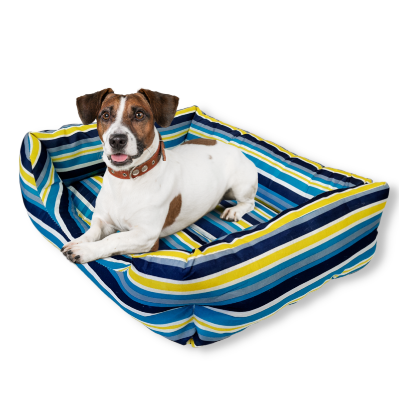 Šunų ir kačių guolis, mėlynai geltonas | Keturkojams.lt